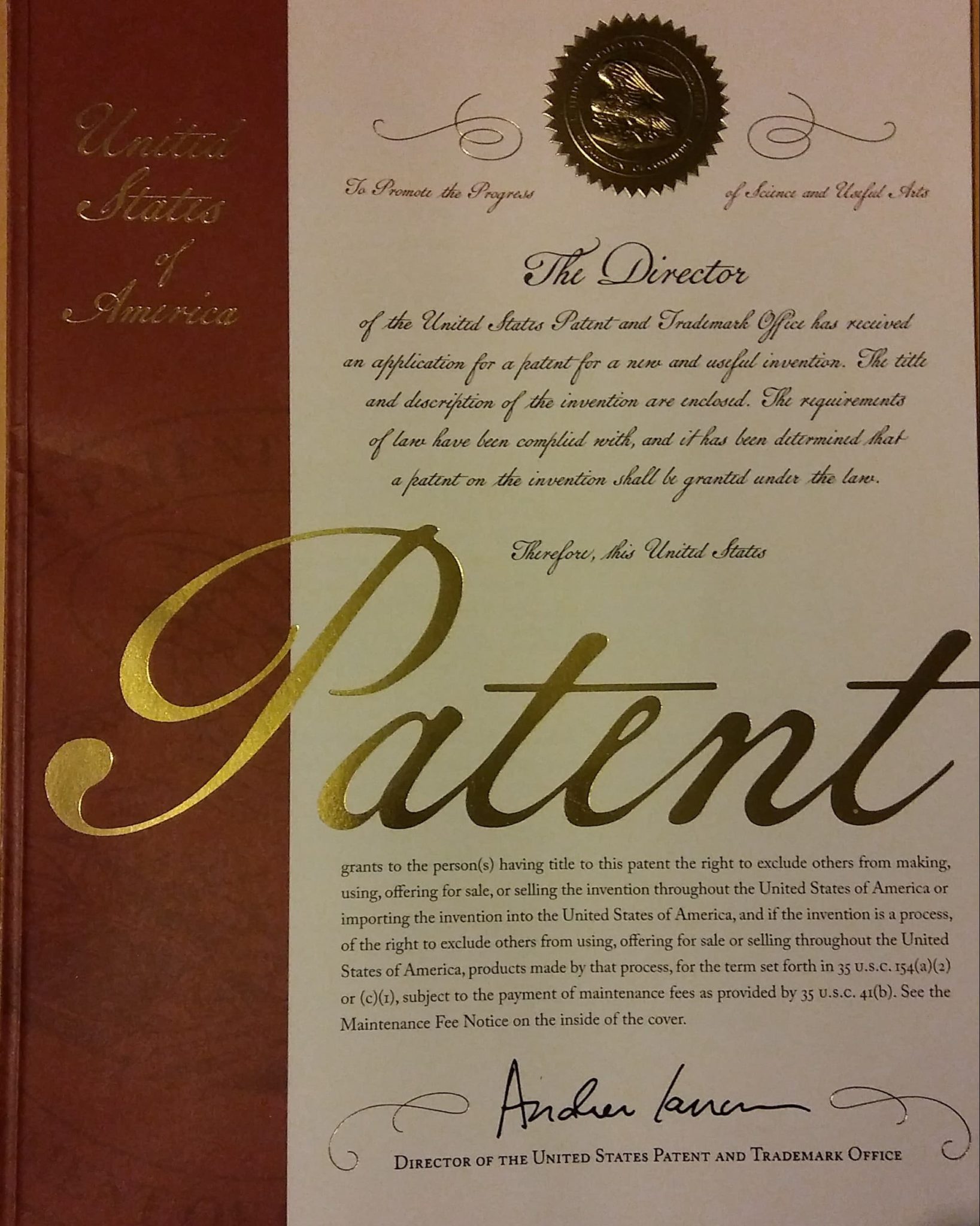 Home - Buzzy Grill Deluxe